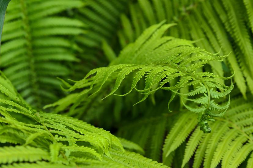 CPS.pf - Nos engagements